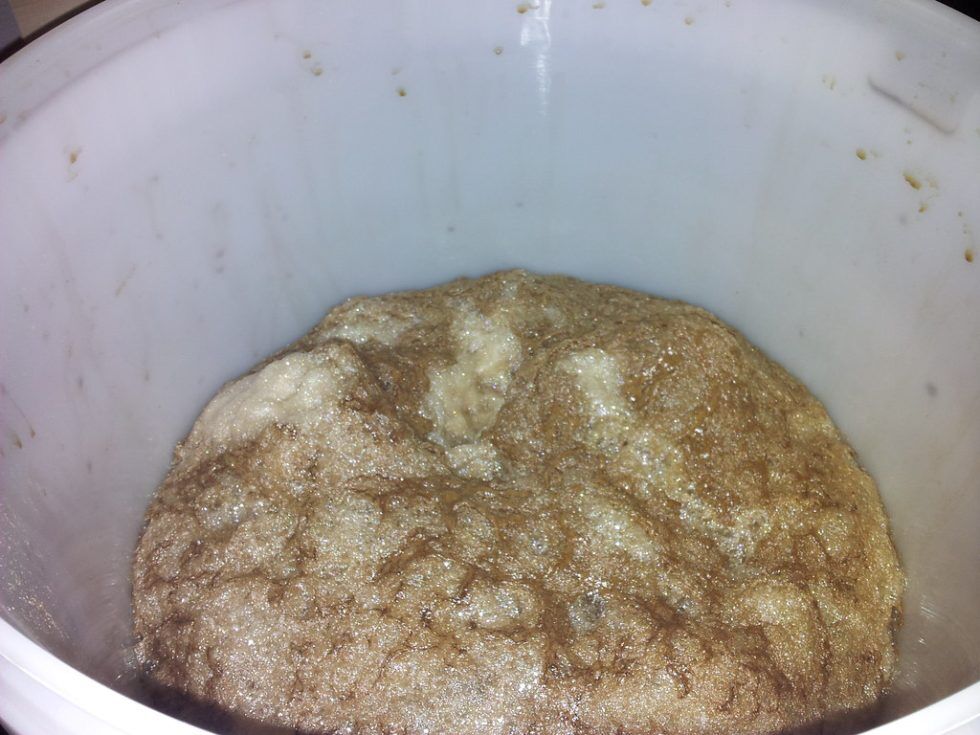 The 4 Pillars Of Beer: Water, Malt, Hops, And Yeast Explained > New To ...